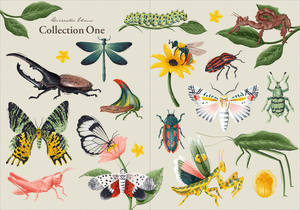 Encyclopedia of Amazing Insects – Hello Moppet