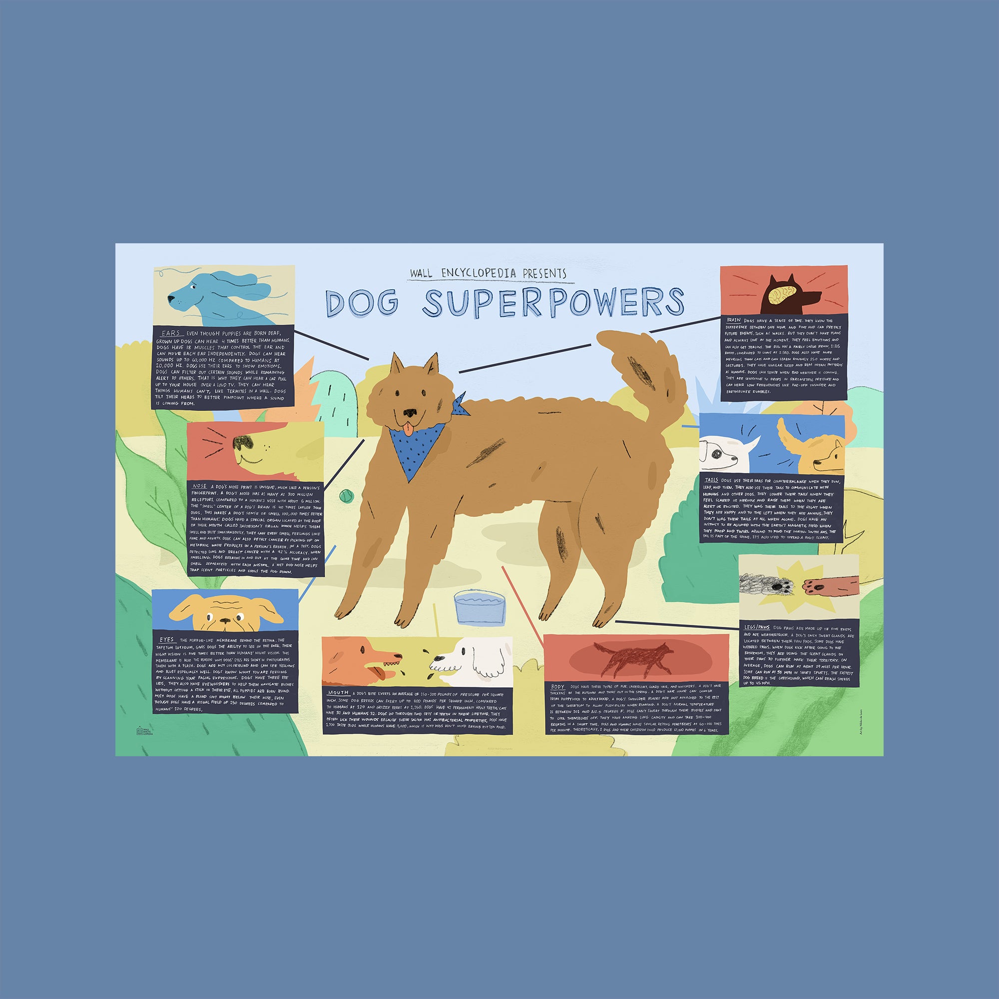 Dog Superpowers Poster – Hello Moppet