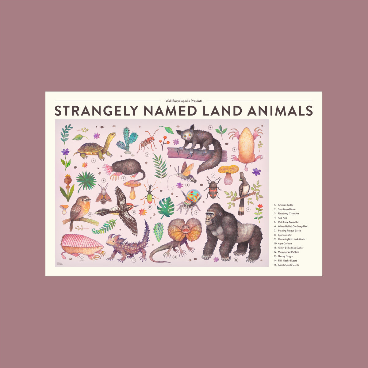 Strangely Named Land Animals Poster – Hello Moppet