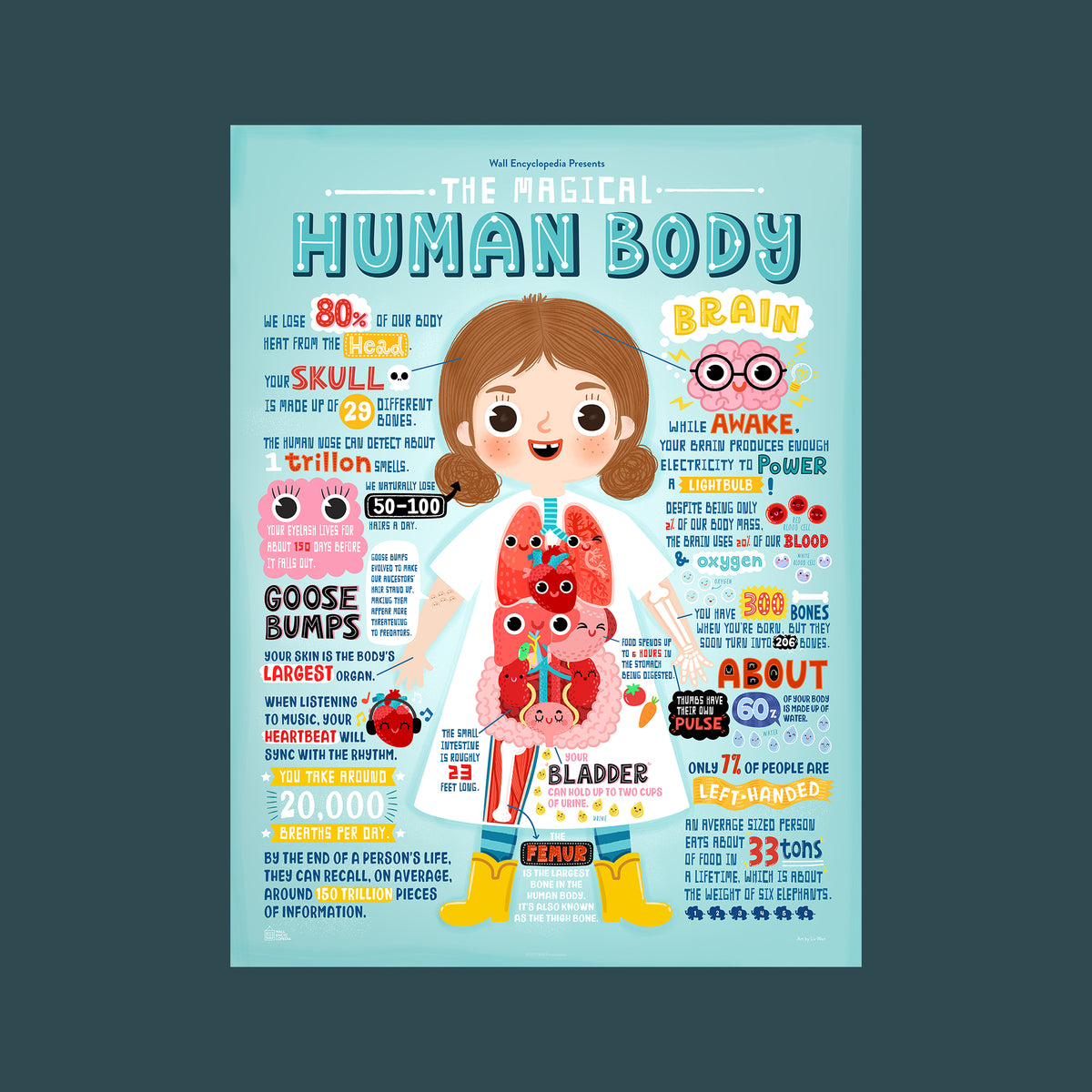 The Magical Human Body Poster – Hello Moppet